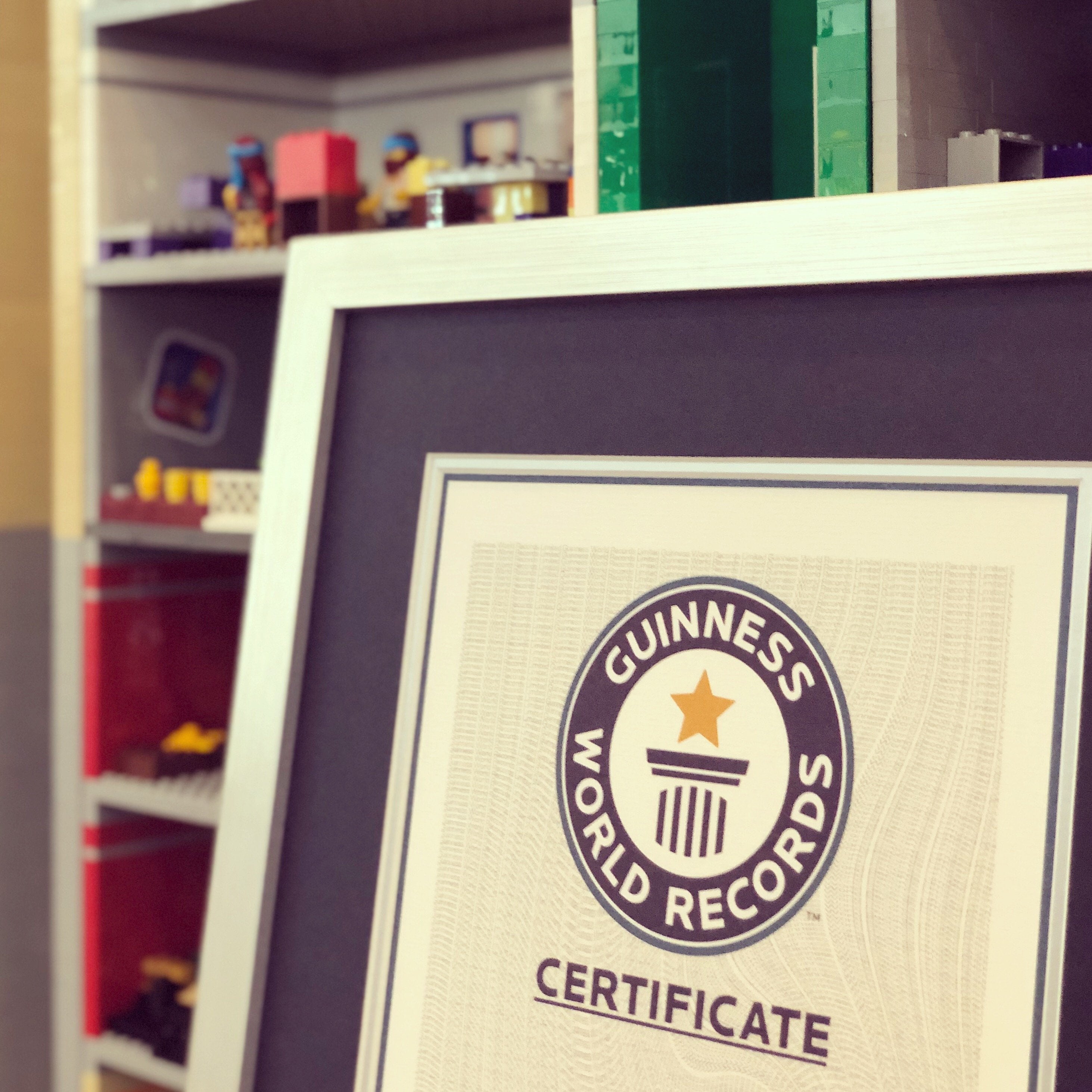 LEGO® Games Breaks a Guinness World Records® title for the Largest LEGO ...