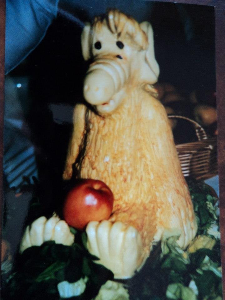 Alf 1988 - Albums convertis - Forum Auto