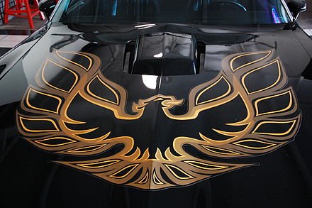 USA Pontiac Firebird Trans Am Trans_Am_1978 hood - Albums convertis ...