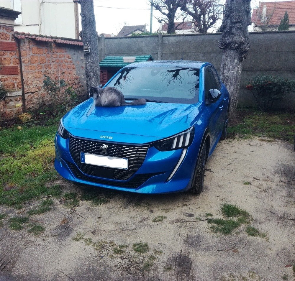 208 GT Line - Albums convertis - Forum Auto