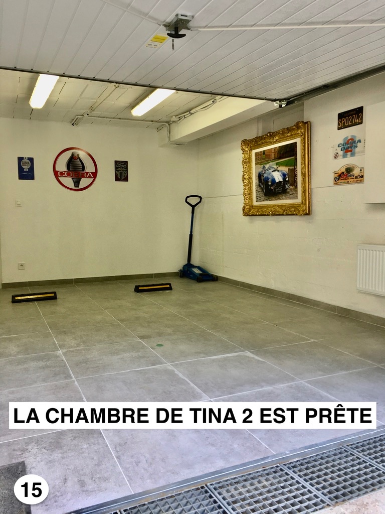 La dynastie TINA. - Présentations - AC Cobra, GT40, Daytona (et ...
