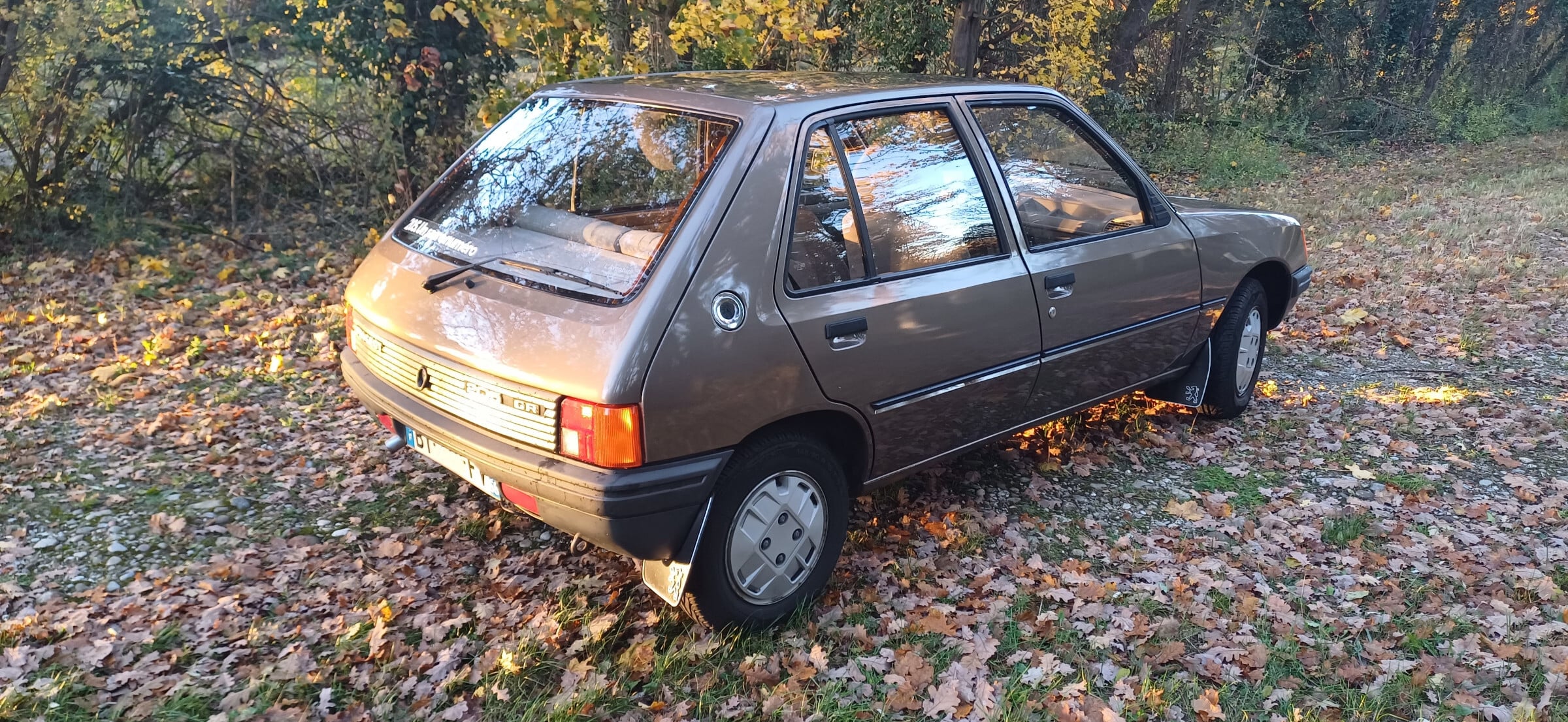 [Présentation] Peugeot 205 GR - 1983 - Les Françaises - Youngtimers ...
