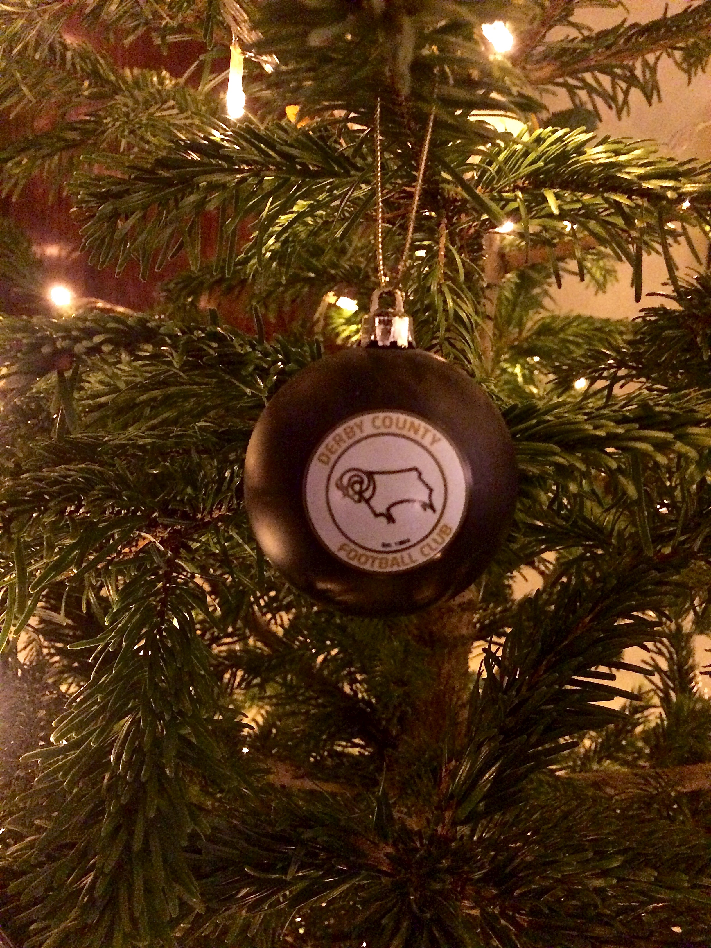 Posters Crimbo Trees - The Jim Smith Room - DCFC Fans