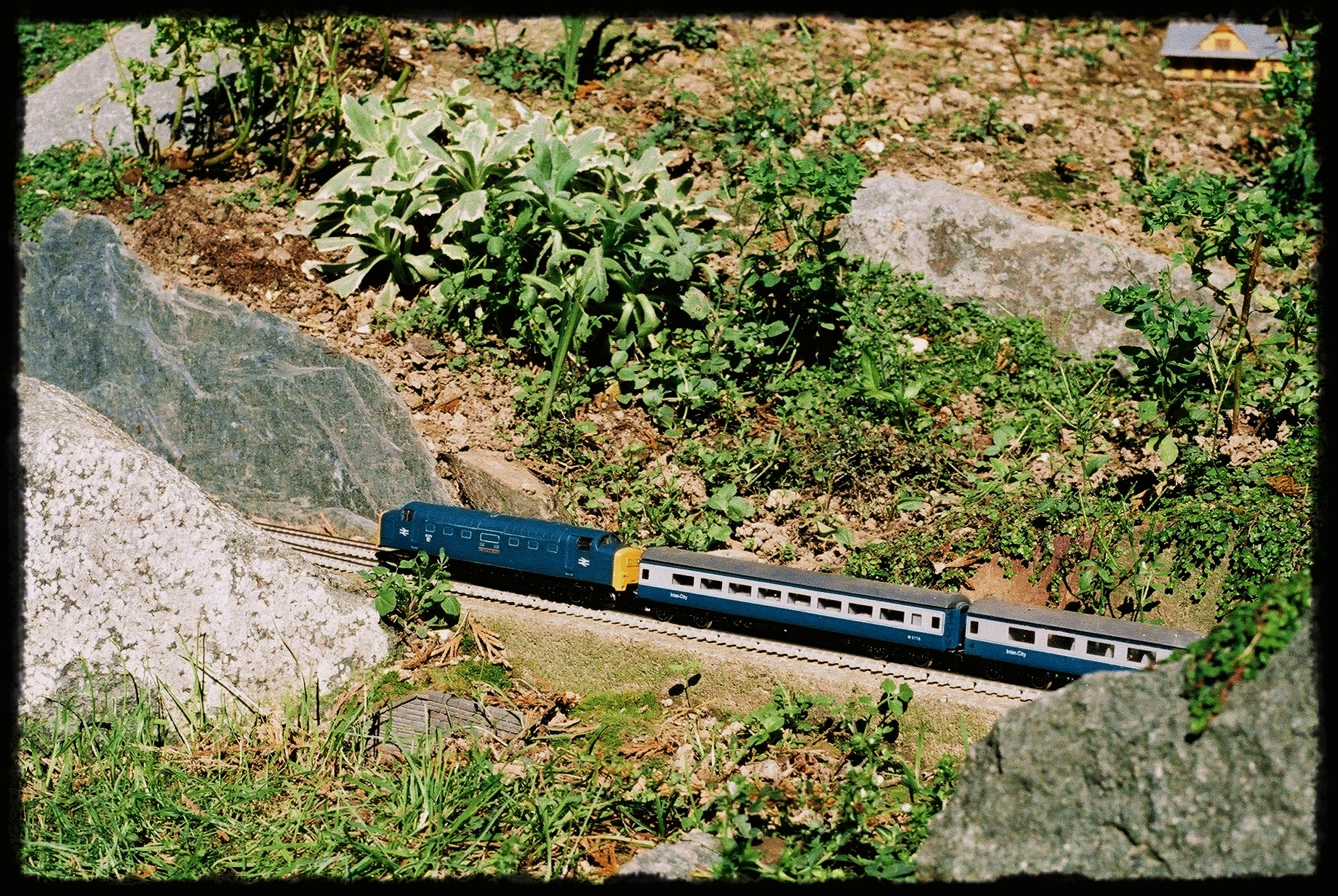 Outdoors with N gauge - My Garden Railway Topics - RMweb
