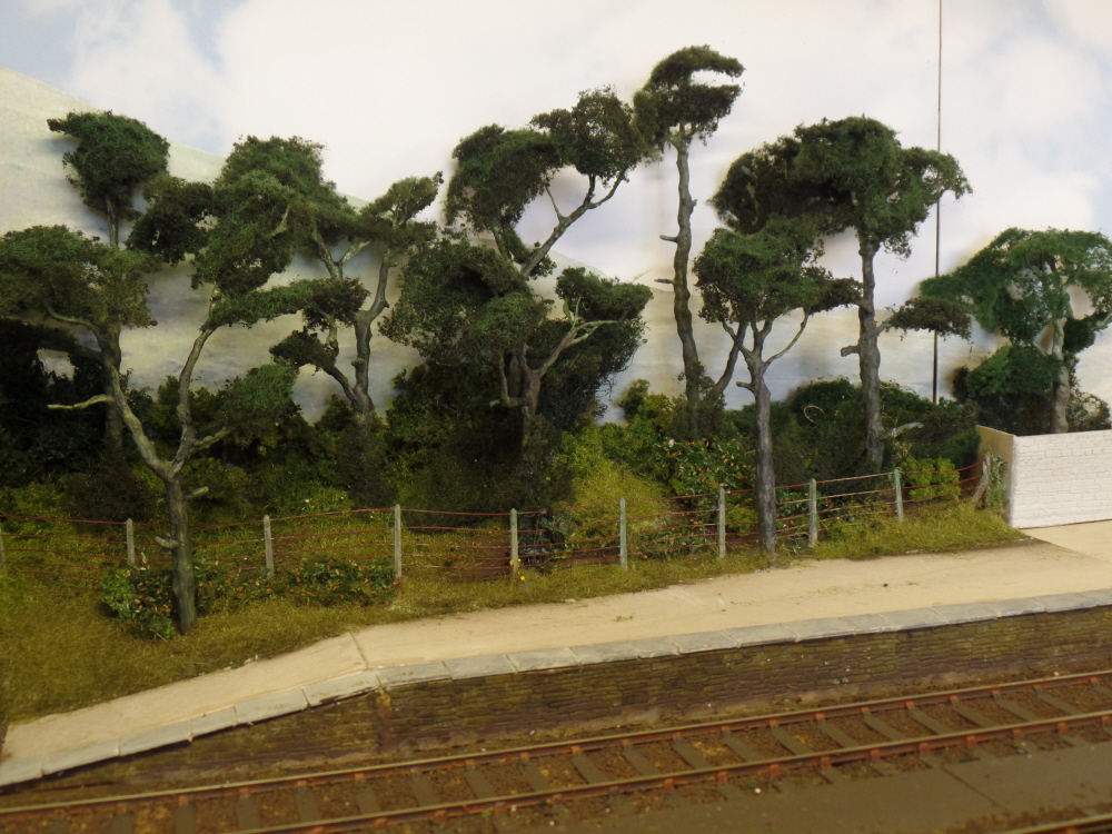 Working Dioramas in O Gauge: Including Osney Town, Osney Shed and Osney ...