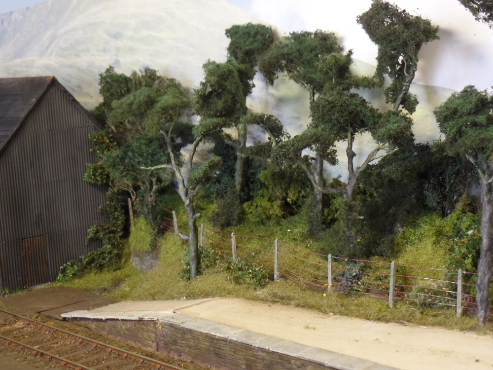 Working Dioramas in O Gauge: Including Osney Town, Osney Shed and Osney ...