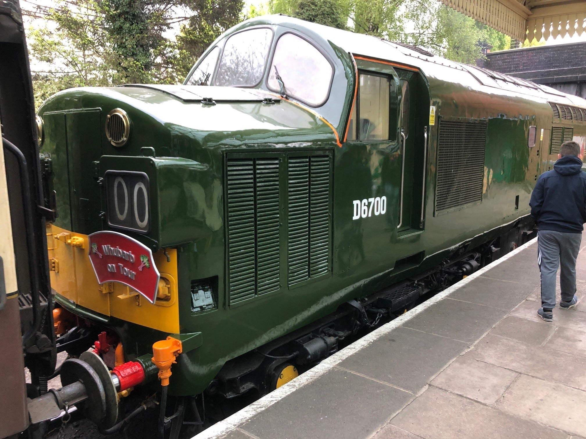 Locomotionmodels celebrate 60 years of the Class 37 with an exclusive ...
