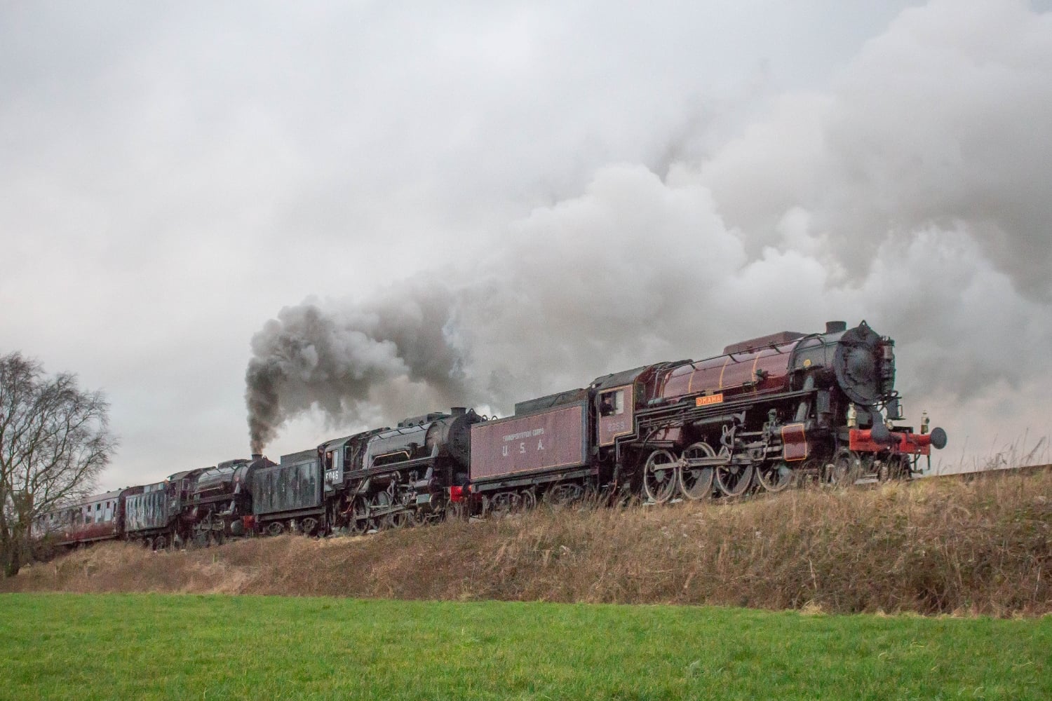 USATC S160 2-8-0 in OO - Rapido Trains - RMweb
