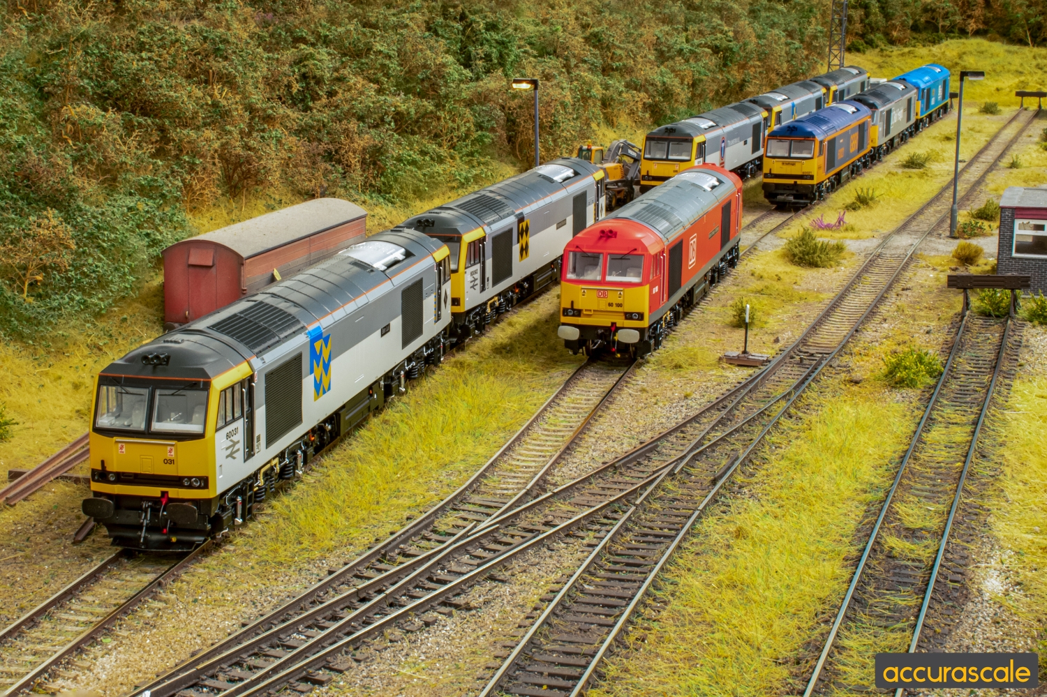 Class 60, By Accurascale - Page 21 - Accurascale / Irish Railway Models ...