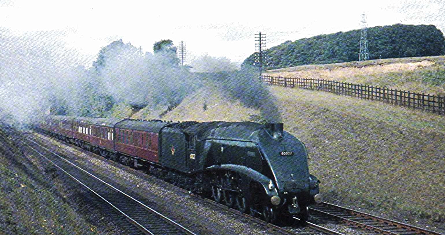 Class A4 Merlin Nameplates - Modelling Questions, Help and Tips - RMweb