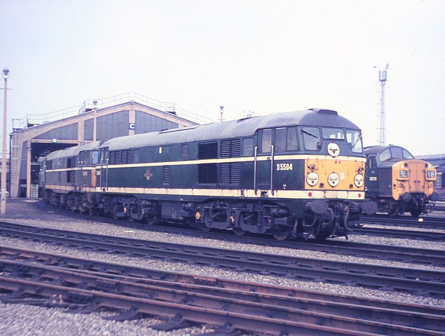 Early Brush 2/Class 30/31 livery - UK Prototype Questions - RMweb
