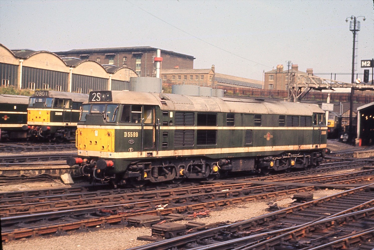 Early Brush 2/Class 30/31 livery - UK Prototype Questions - RMweb