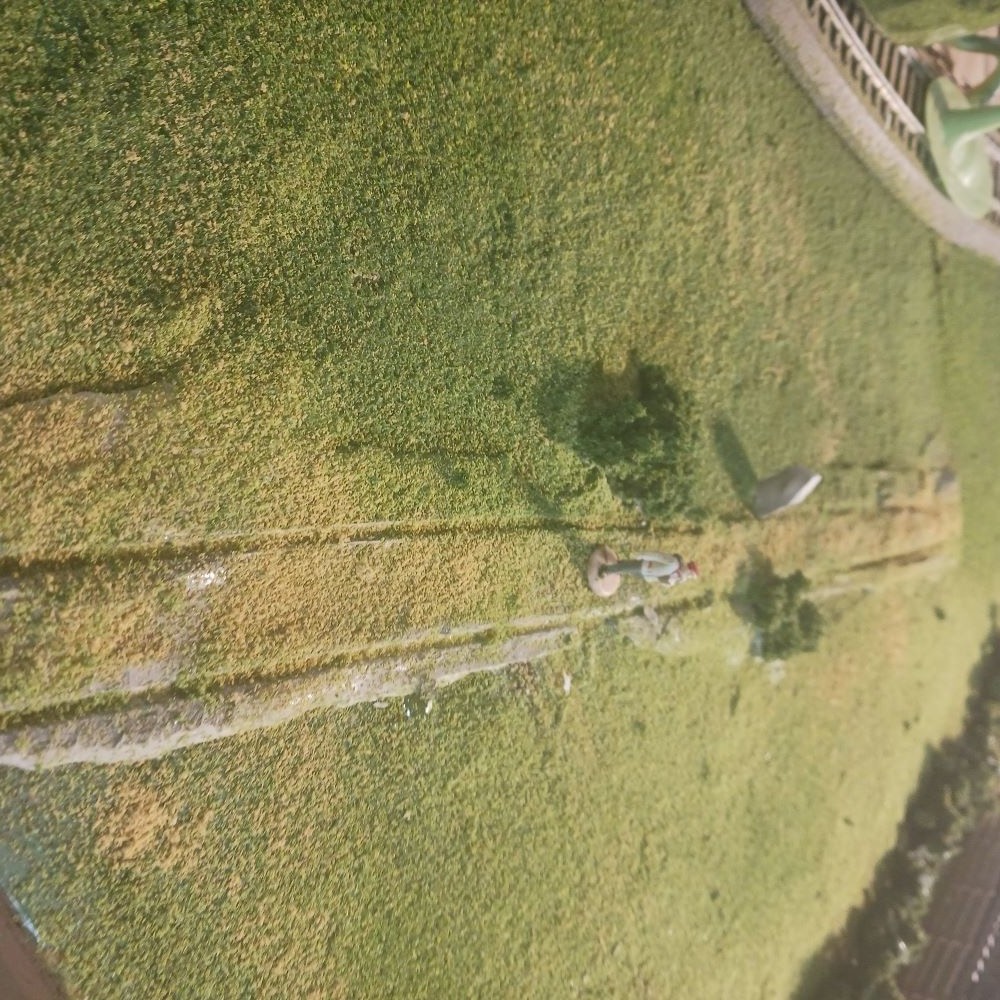 Assistance Please: 18th century granite trackways for early mines ...