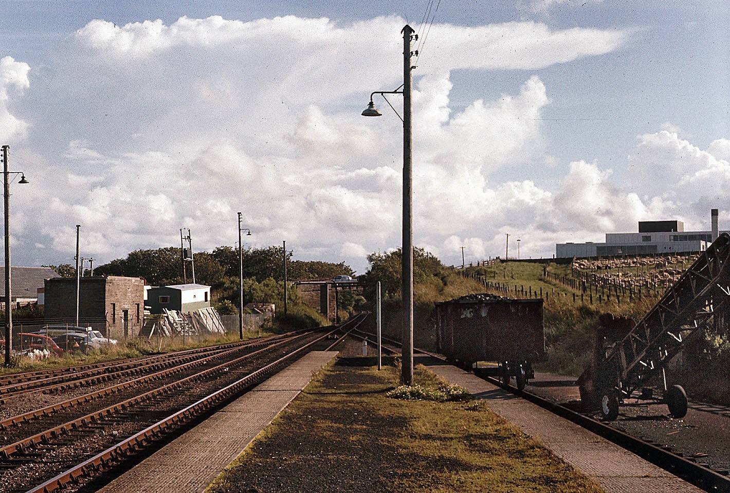 Dave F's photos - ongoing - more added each day - Page 1204 - UK ...