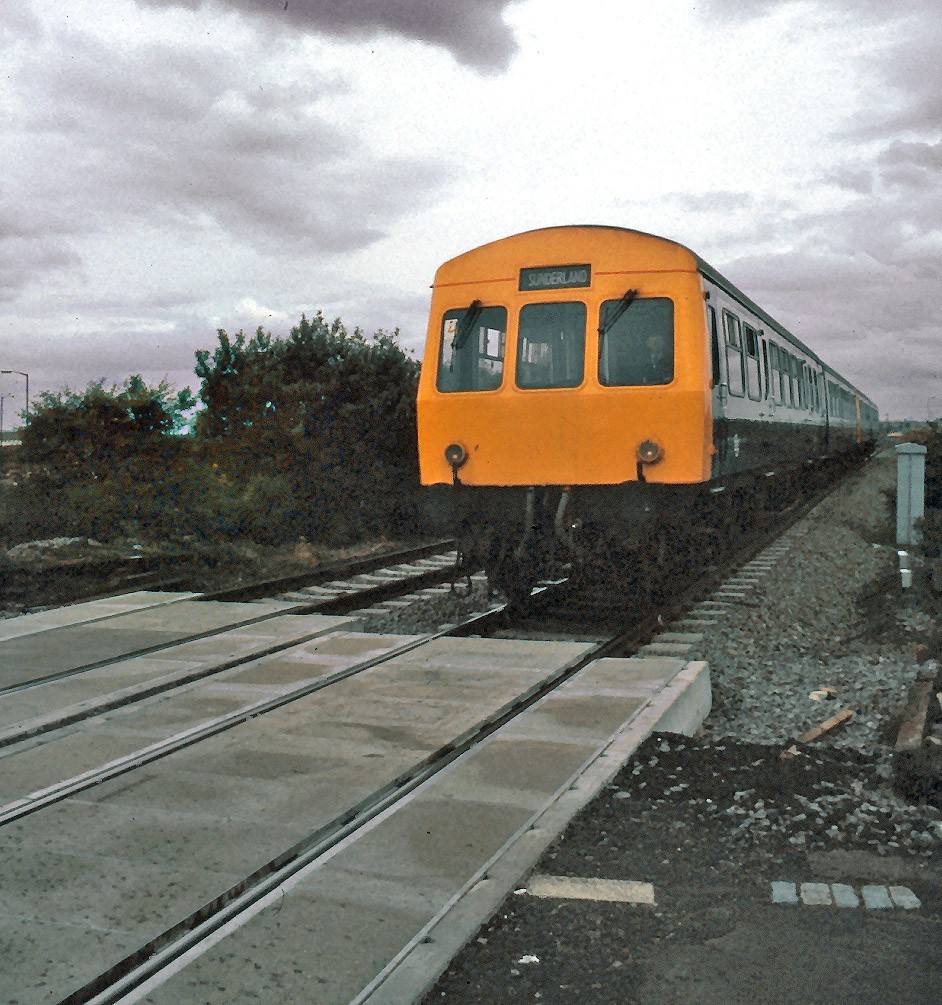 Dave F's photos - ongoing - more added each day - Page 1204 - UK ...