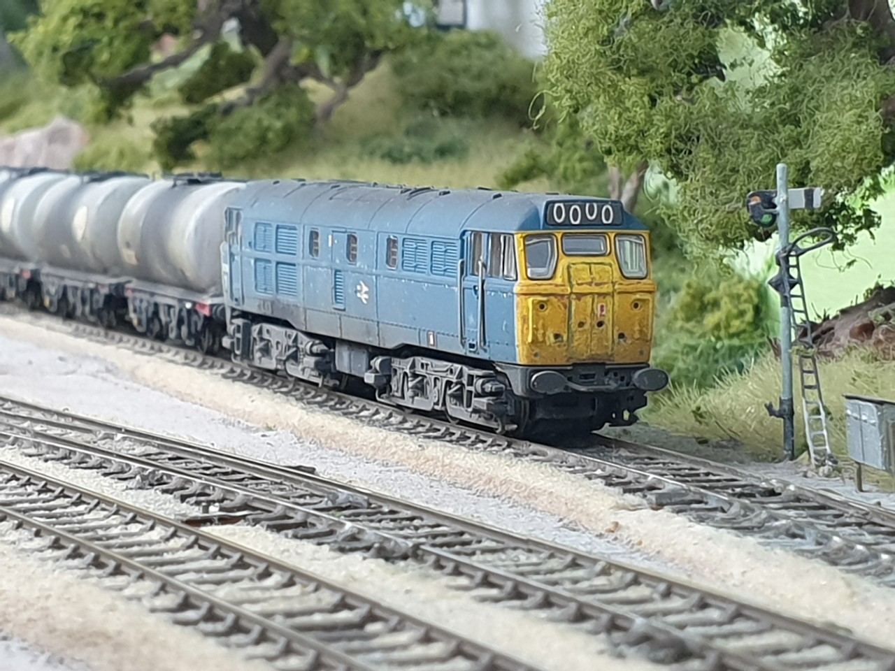 Farish Class 31 - pre-TOPS BR blue - Graham Farish - RMweb