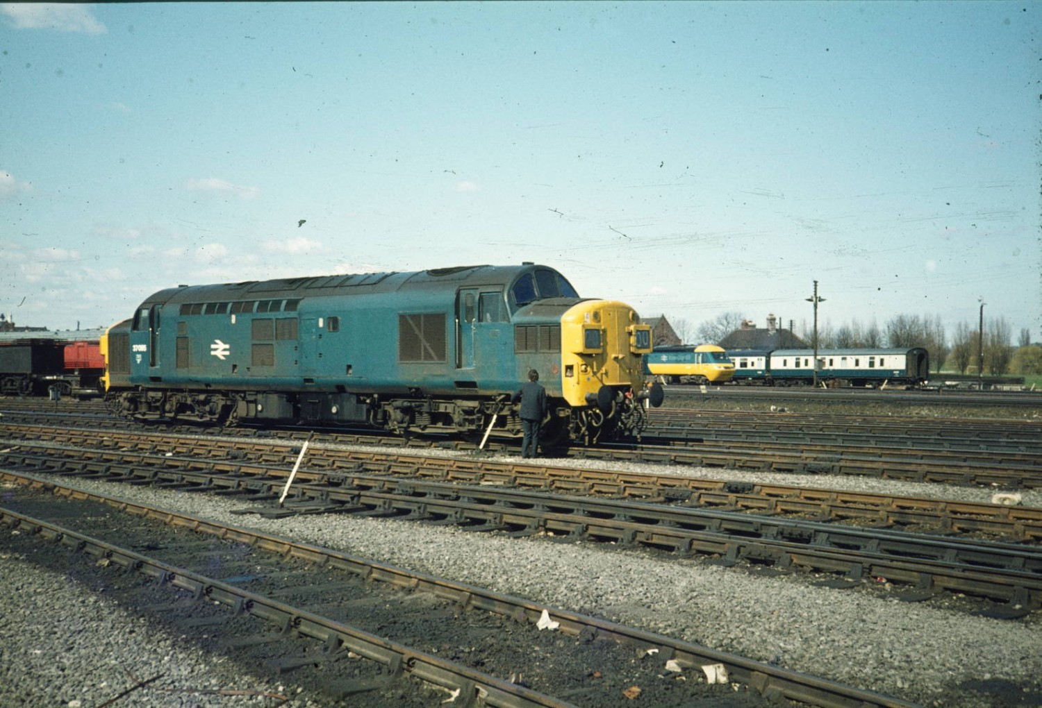 Class 37 BR Blue Livery - painting scheme? - UK Prototype Questions - RMweb