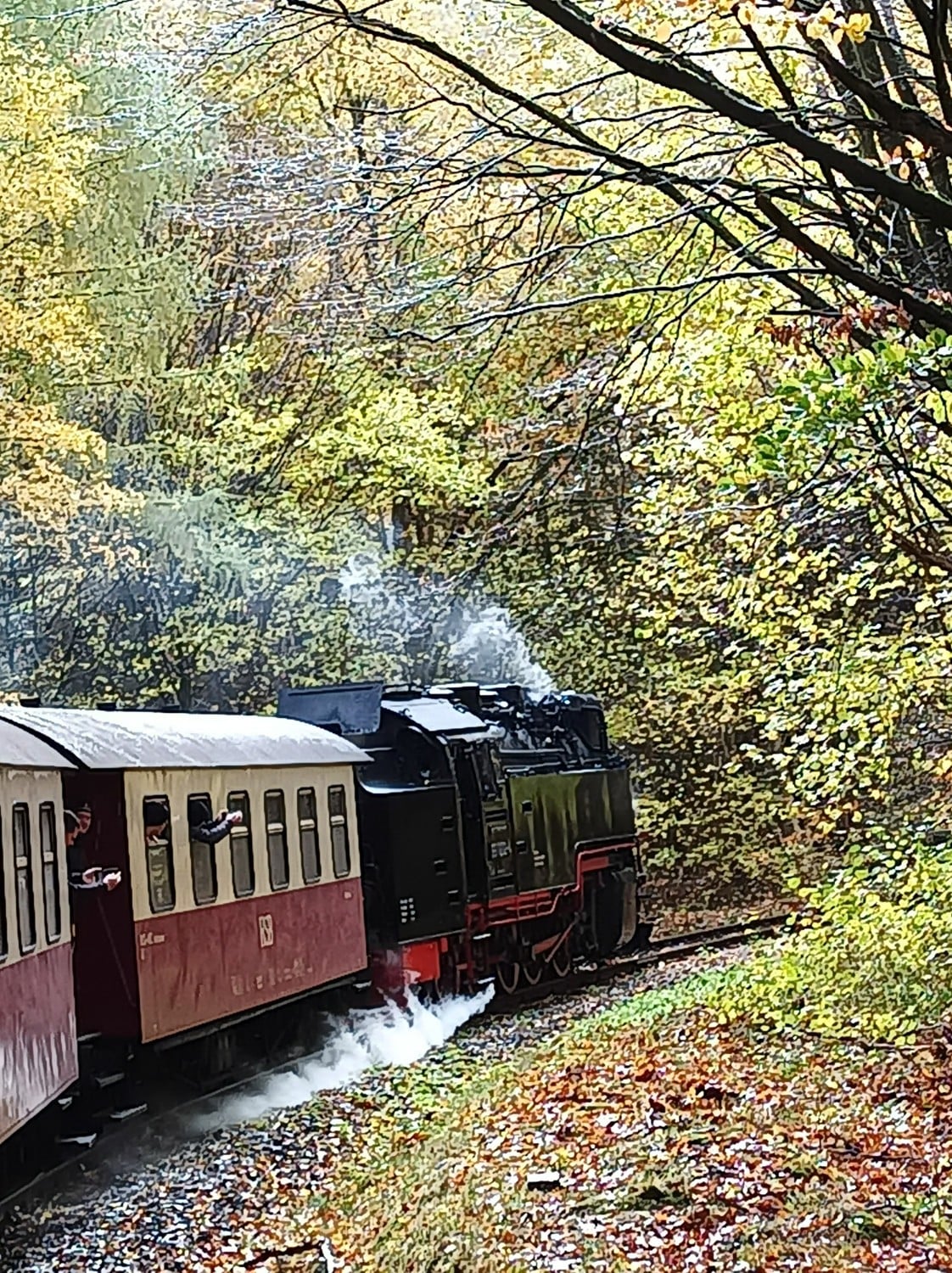 Less than good news from the Harz - German Railways 🇩🇪 - RMweb
