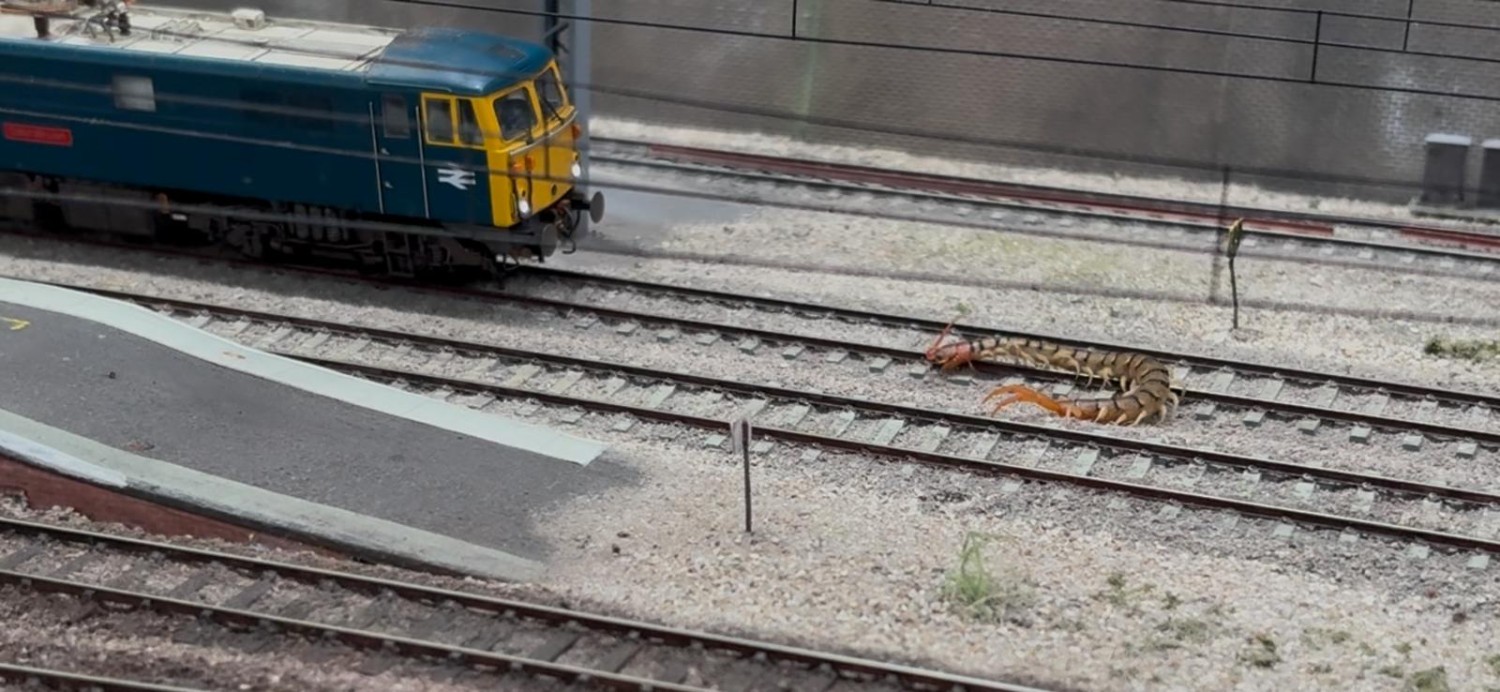 Daventry Parkway – A New WCML Station Already Built…Over 60 Years Ago ...