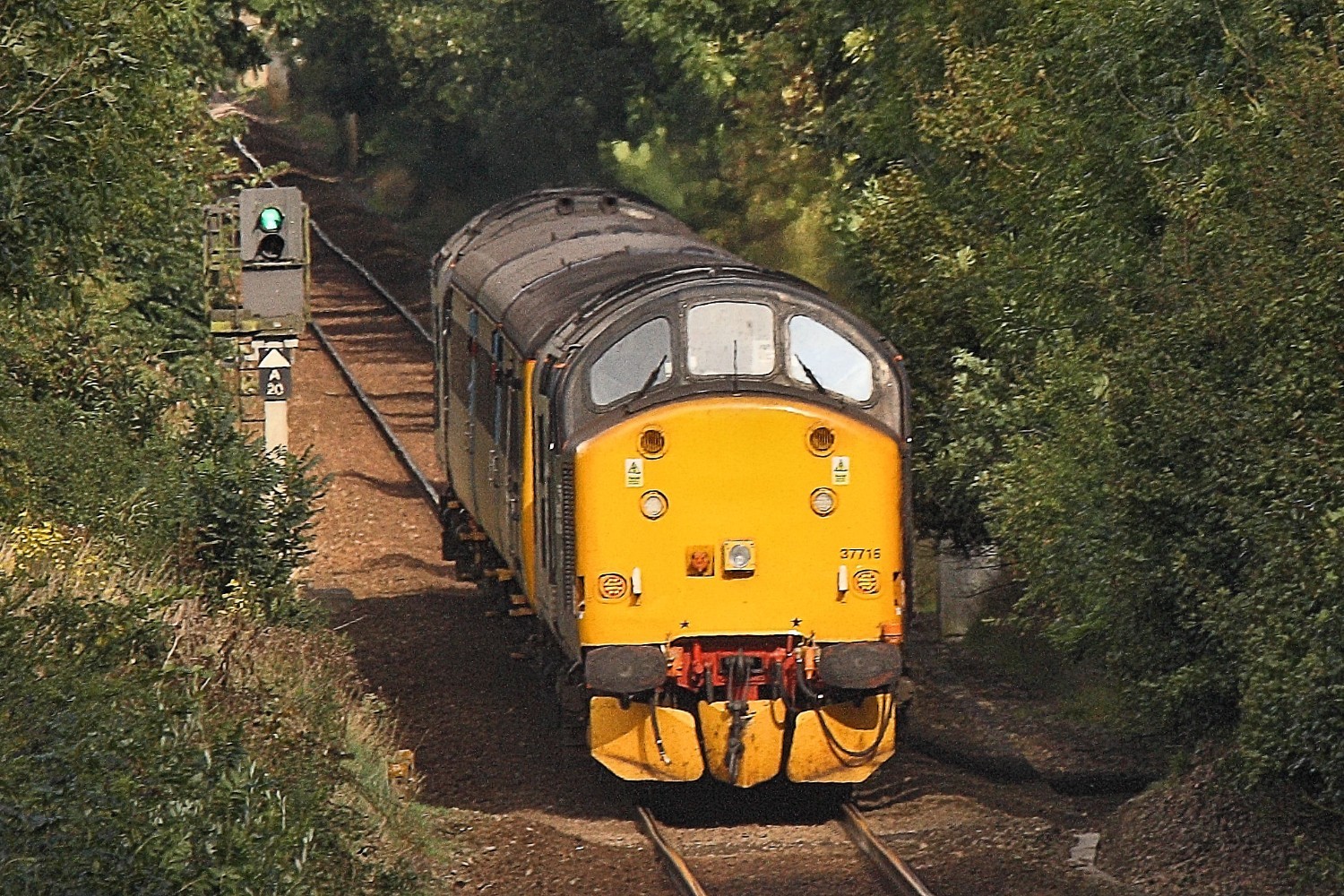 Class 37 Photos... - Page 114 - UK Prototype Discussions (not questions ...