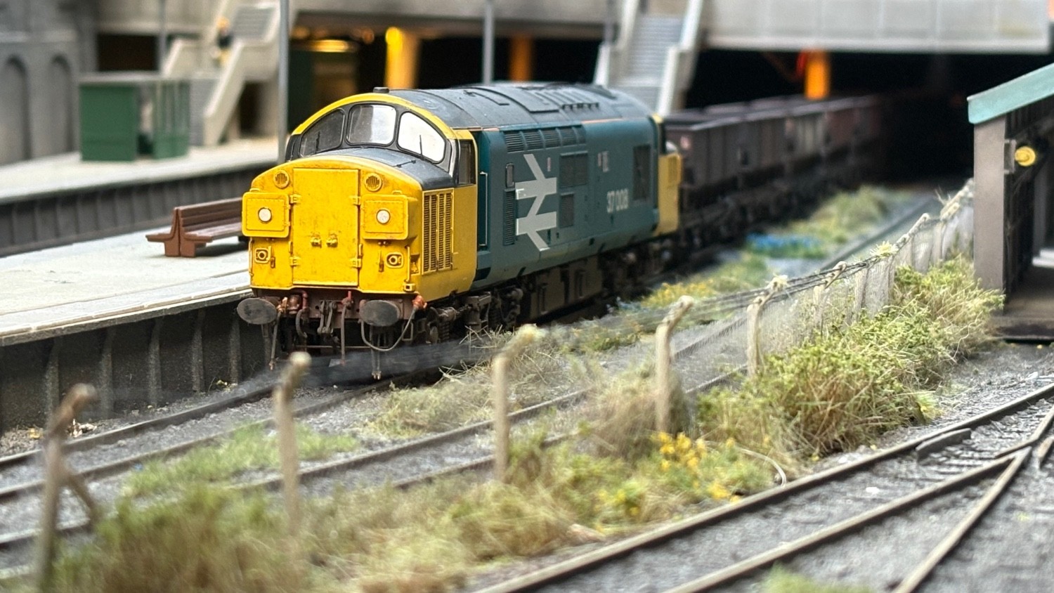 Class 37, by Accurascale - Page 432 - Accurascale / Irish Railway ...